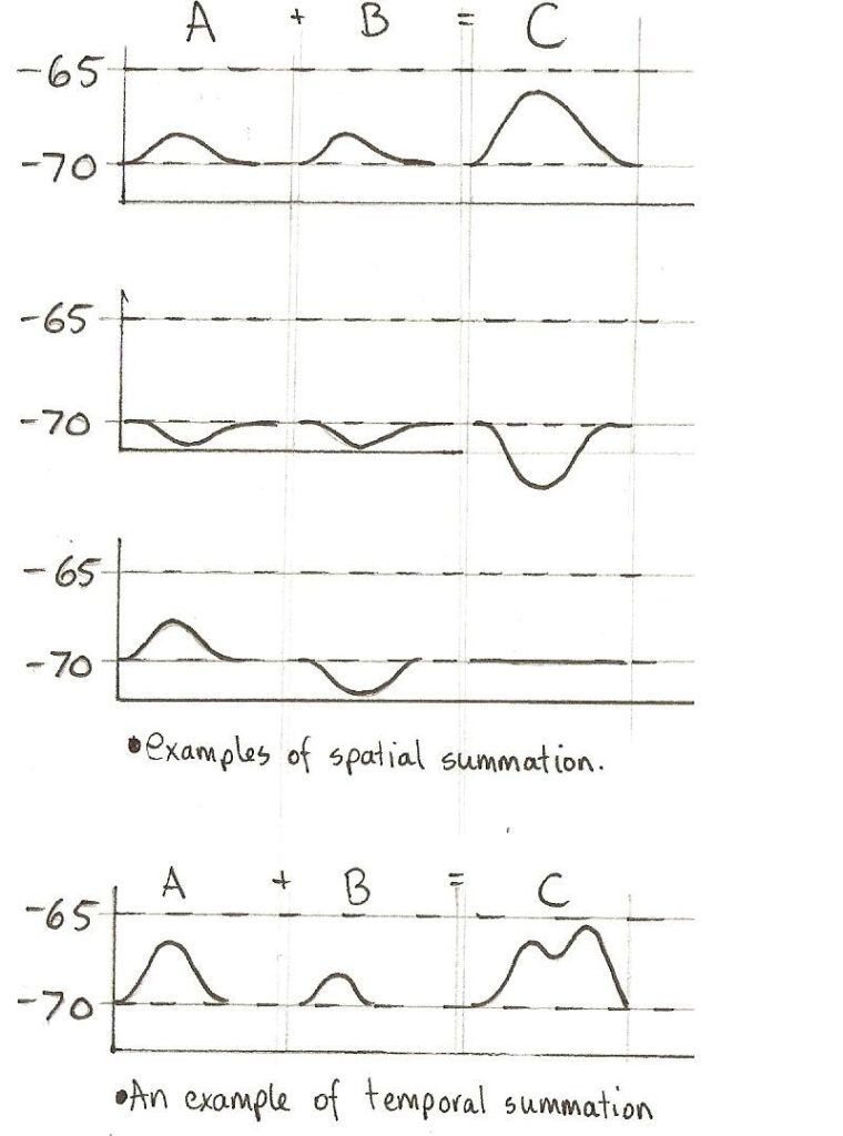 spatial temporal skills examples